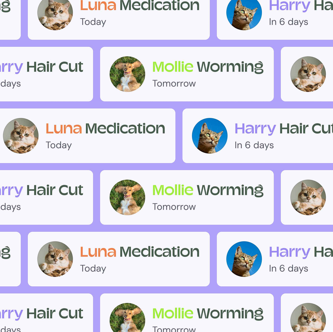 Smart QR Pet Tag for Dogs & Cats | Supernormal